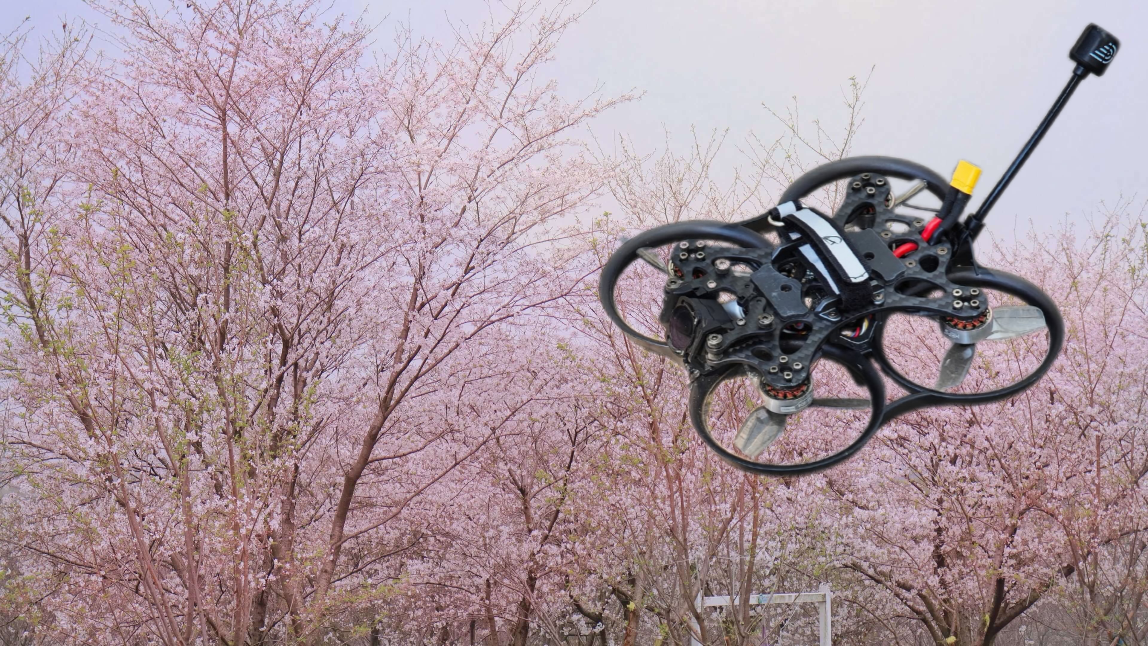 How to Capture Cherry Blossom Footage with FPV Drones？